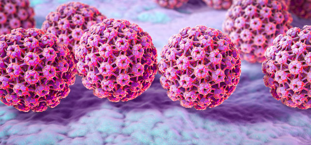 What are human papilloma viruses, and are all HPV types dangerous?