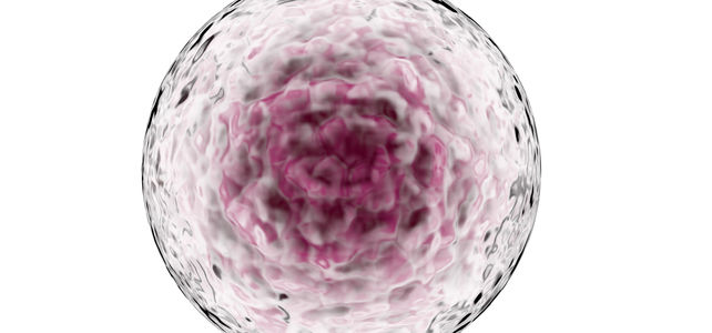 Researchers produce expanded potential stem cells (EPSCs)